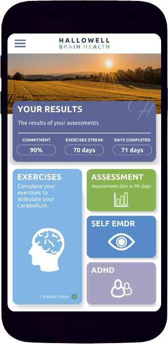 Brain Development | Neuroplasticity Stimulation | Zing Performance